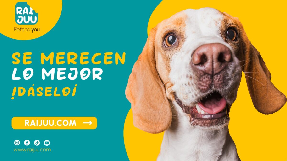 Raijuu | Pet's to you